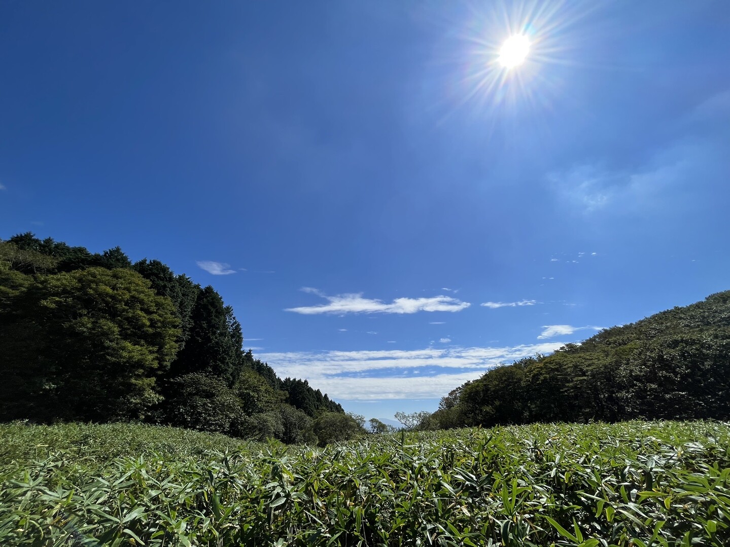 皿ヶ嶺・梅ヶ谷山・うなめご-2022-09-24 / issaさんの皿ヶ嶺・梅ヶ谷山・うなめごの活動データ | YAMAP / ヤマップ