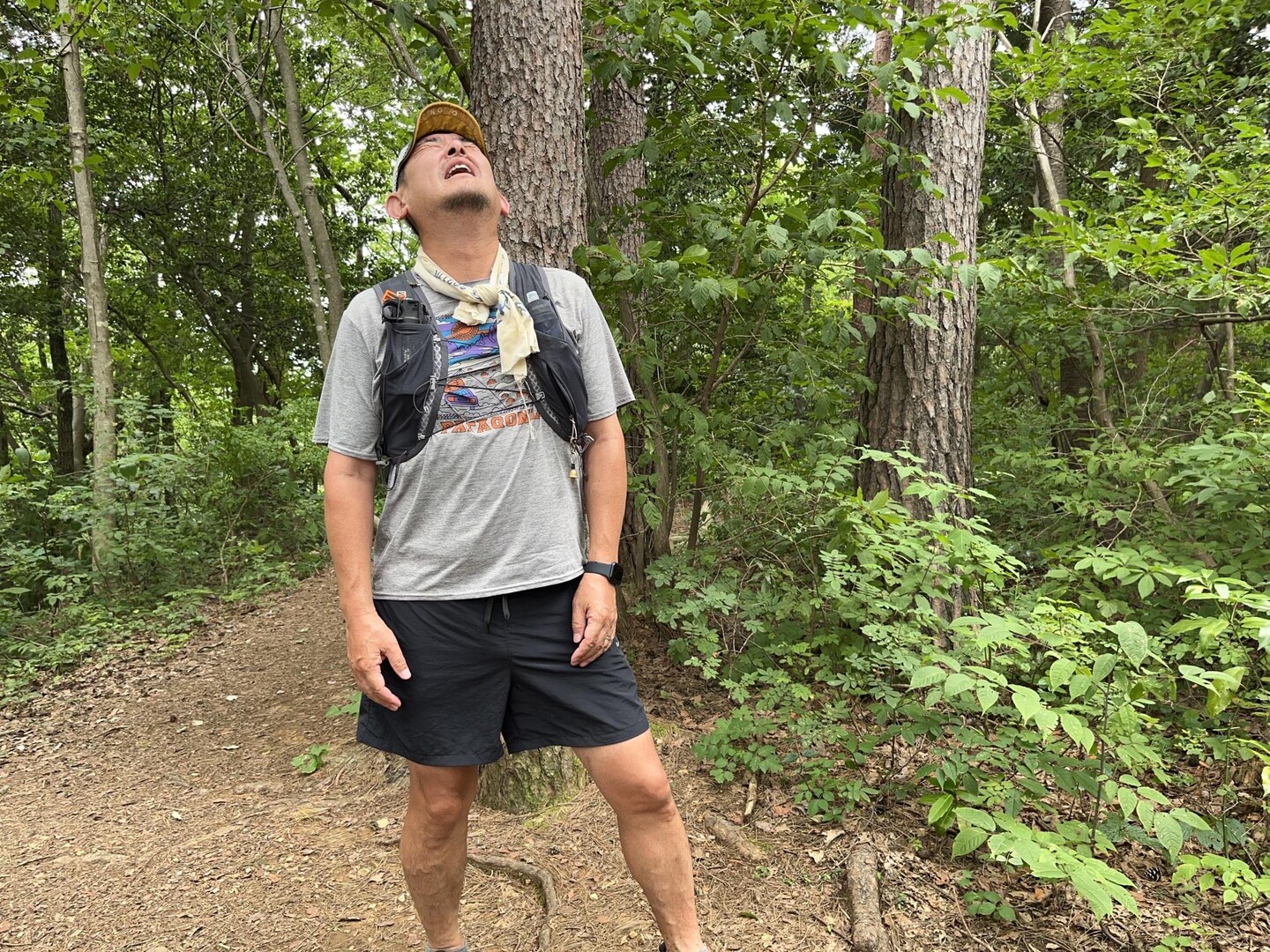 酷暑のヤリカンは甘くないぞぉ〜！ / NAOZOさんの遣水観音山・遊泉寺砂山・高野山の活動データ | YAMAP / ヤマップ