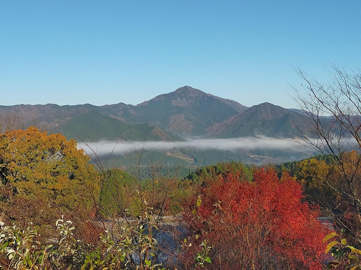 会社の人達と⛳🏌からの⛺ / youさんのモーメント | YAMAP / ヤマップ