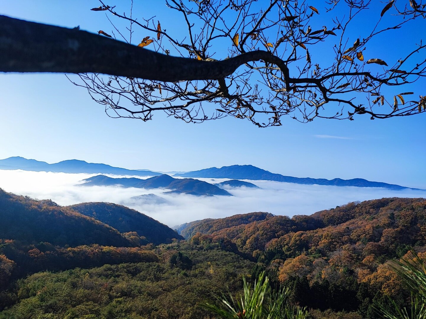 Goさんの投稿したフィールドメモ | YAMAP / ヤマップ