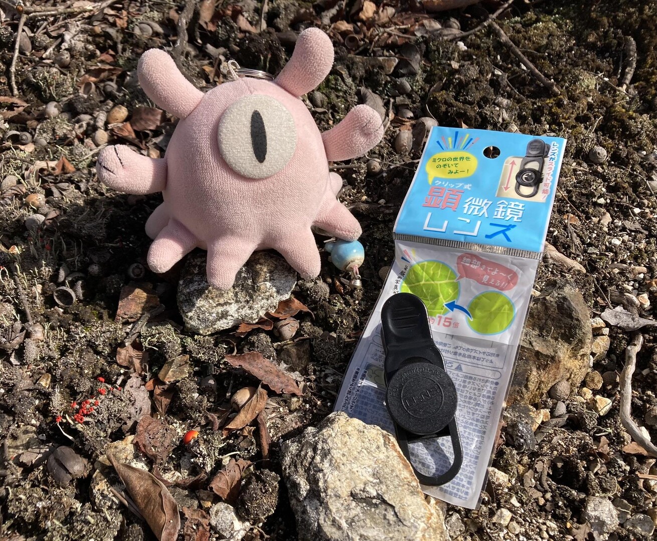 各務原権現山 PM 〜15倍の世界へようこそ / 福ちゃん さんの各務原アルプス（関南アルプス）・八木三山の活動データ | YAMAP / ヤマップ