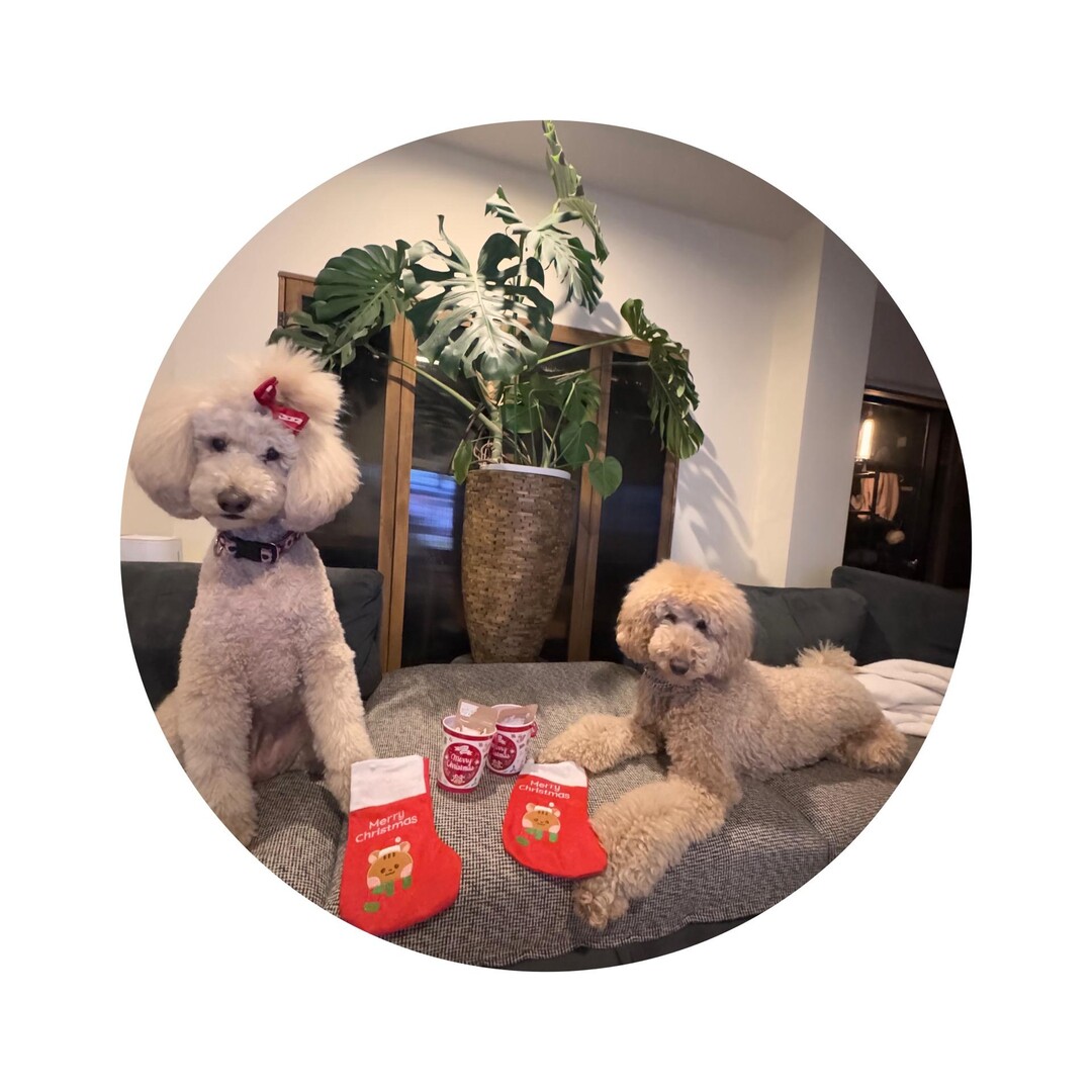 chicoのページ | YAMAP / ヤマップ