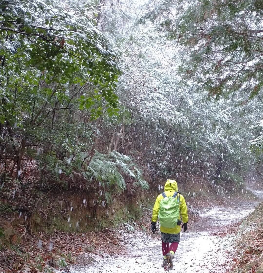 大寒波渦中、桝形山 国指定史跡 阿坂城跡 / まさのりくん🅿️さんの堀坂山・観音岳・桝形山（白米城）の活動データ | YAMAP / ヤマップ