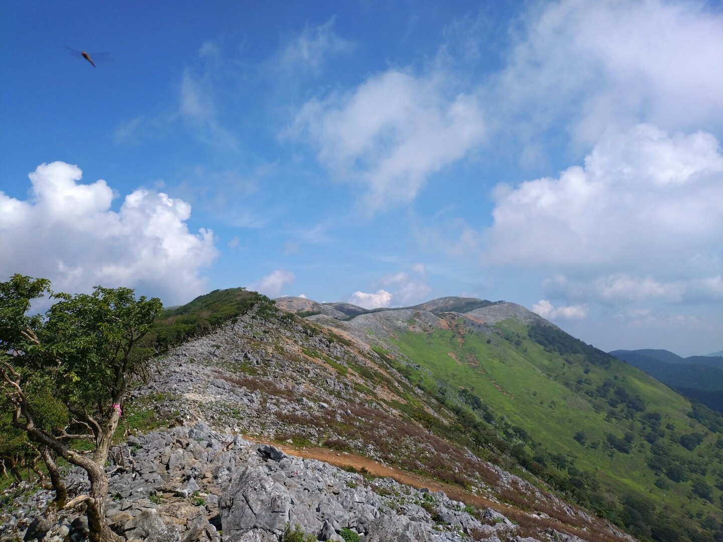 南霊岳・霊仙山最高点・経塚山 / shi-ruさんの霊仙山の活動データ | YAMAP / ヤマップ