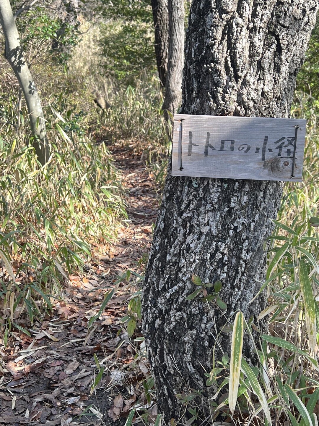 高尾山から高安山へ / やすべえさんの生駒山・神津嶽・大原山の活動データ | YAMAP / ヤマップ