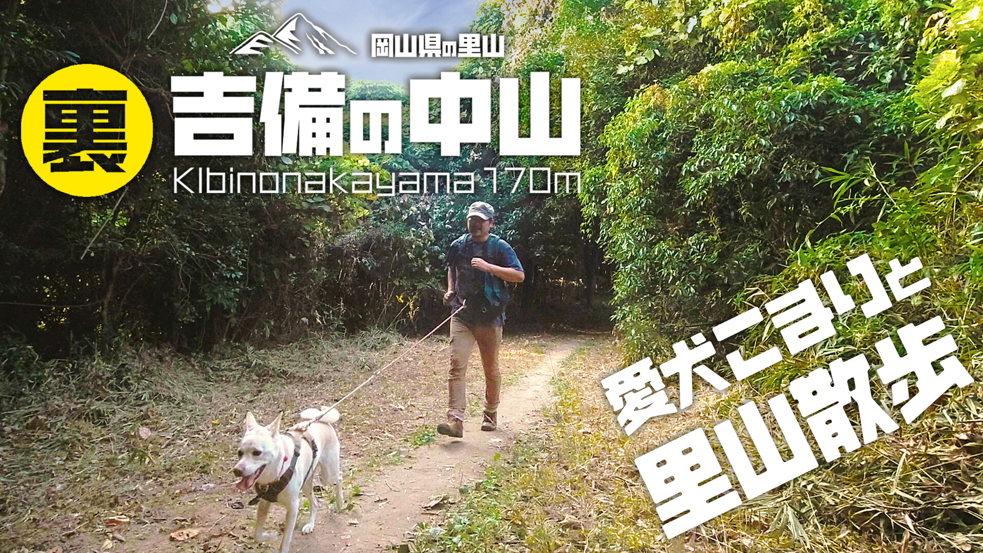 龍王山 / HIGE（SOU）さんの吉備中山・龍王山の活動データ | YAMAP / ヤマップ