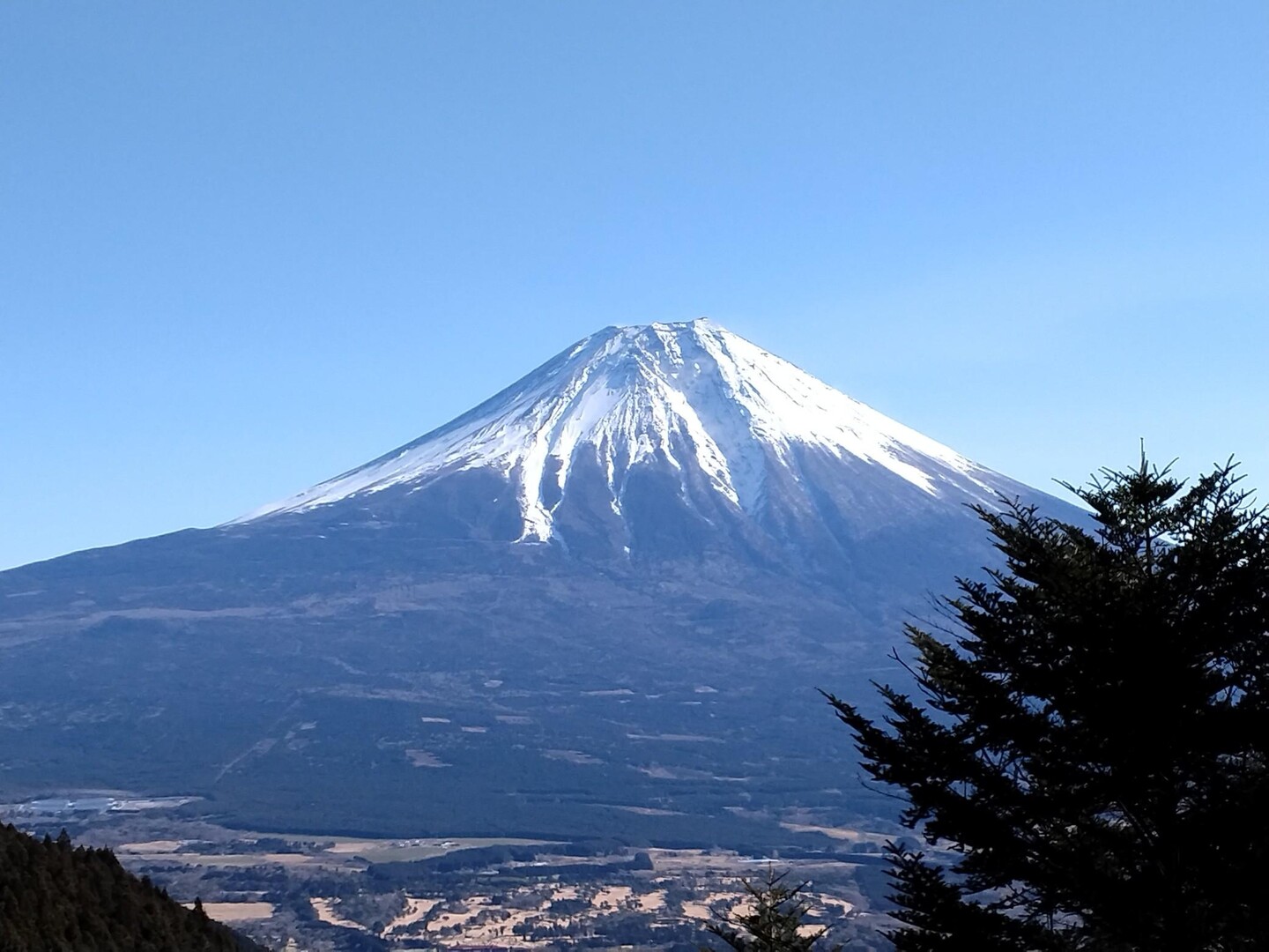 FUJI試走 / sanfreさんのFUJISAN LONG TRAIL（天子山地エリア WEST）の活動データ | YAMAP / ヤマップ