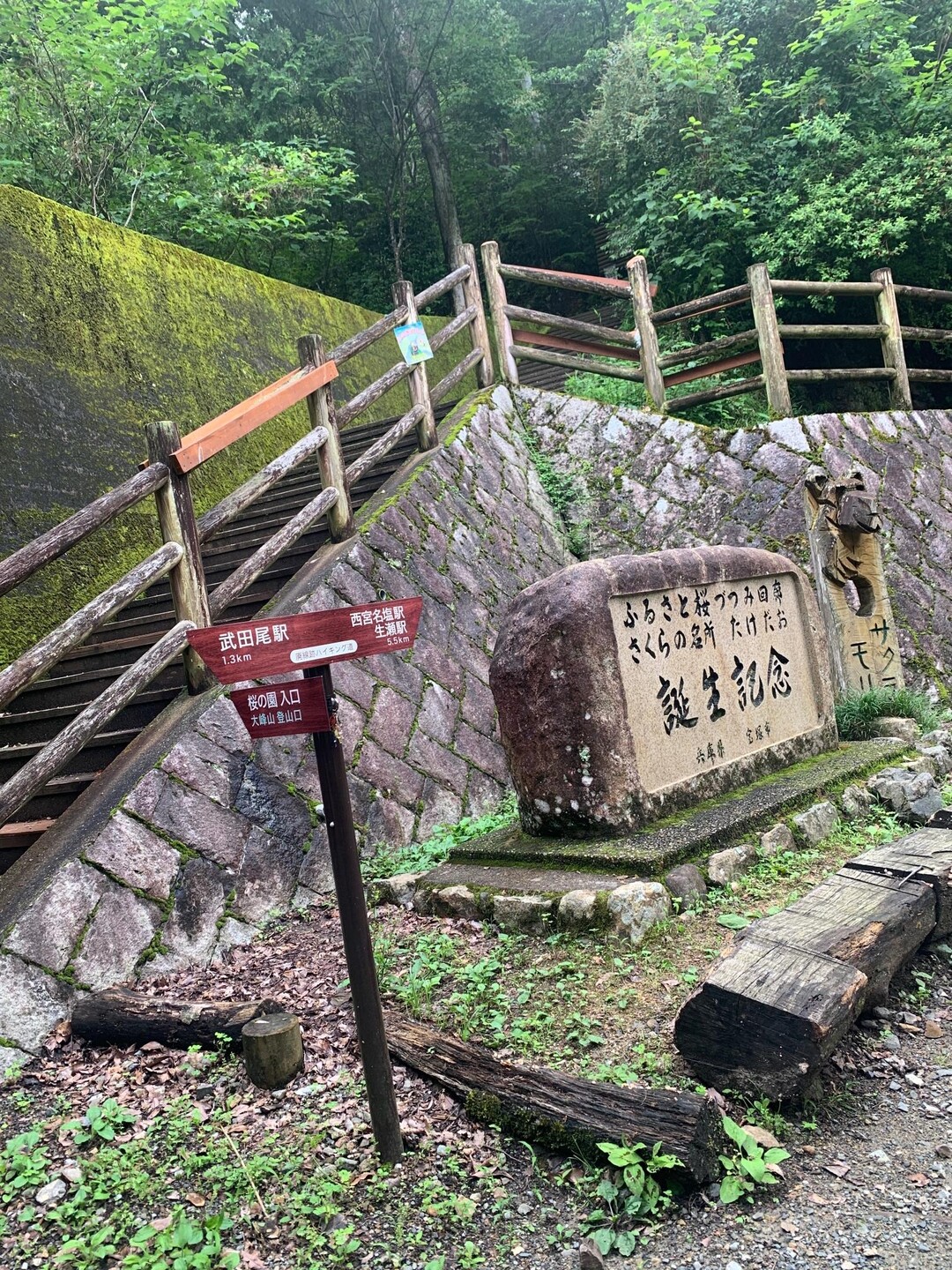 rokoさんの投稿したフィールドメモ | YAMAP / ヤマップ