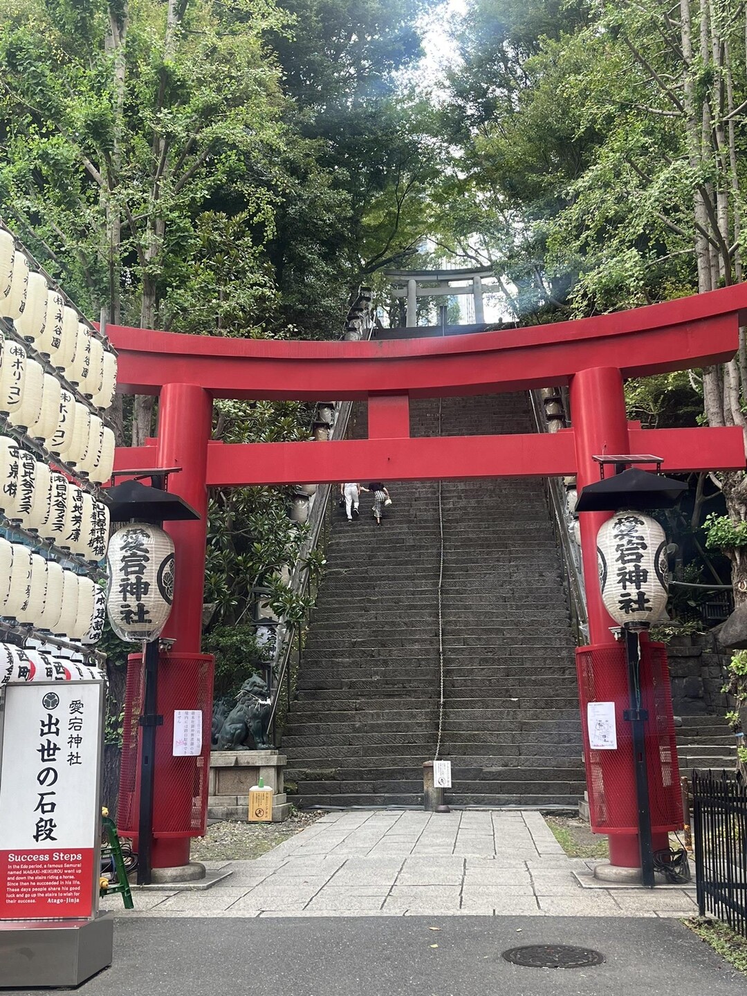 今日の山予定は悪天候で中止😭 こんな日... / ekさんのモーメント | YAMAP / ヤマップ