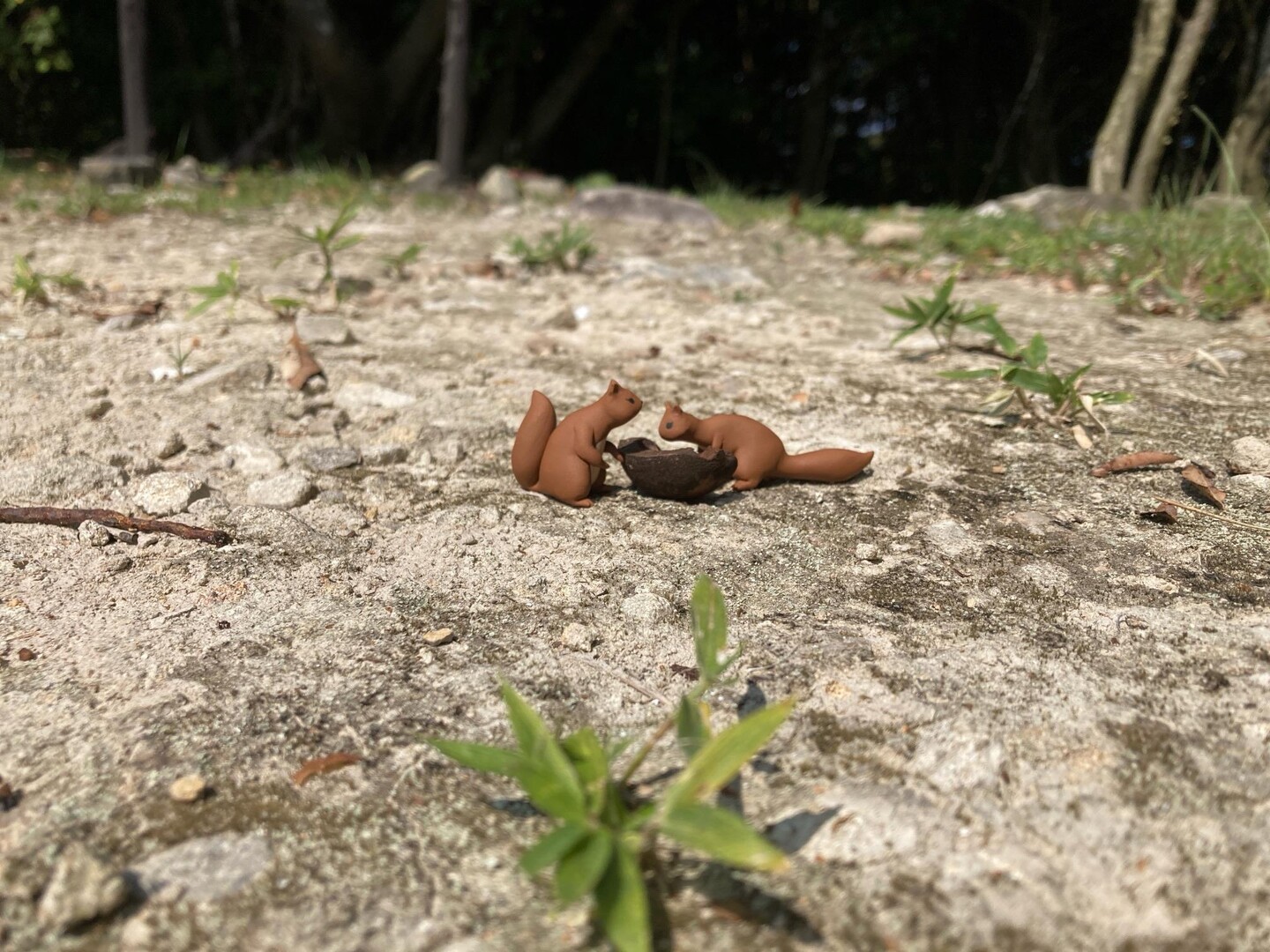 天円山（天ヶ津峰） / lazyさんの大麻山・天円山の活動データ | YAMAP / ヤマップ