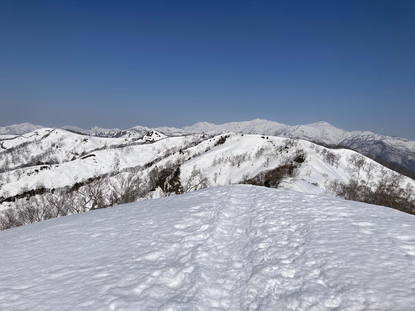 別山の大展望台 大日ヶ岳と天狗山 / assiさんの大日ヶ岳・毘沙門岳の活動データ | YAMAP / ヤマップ