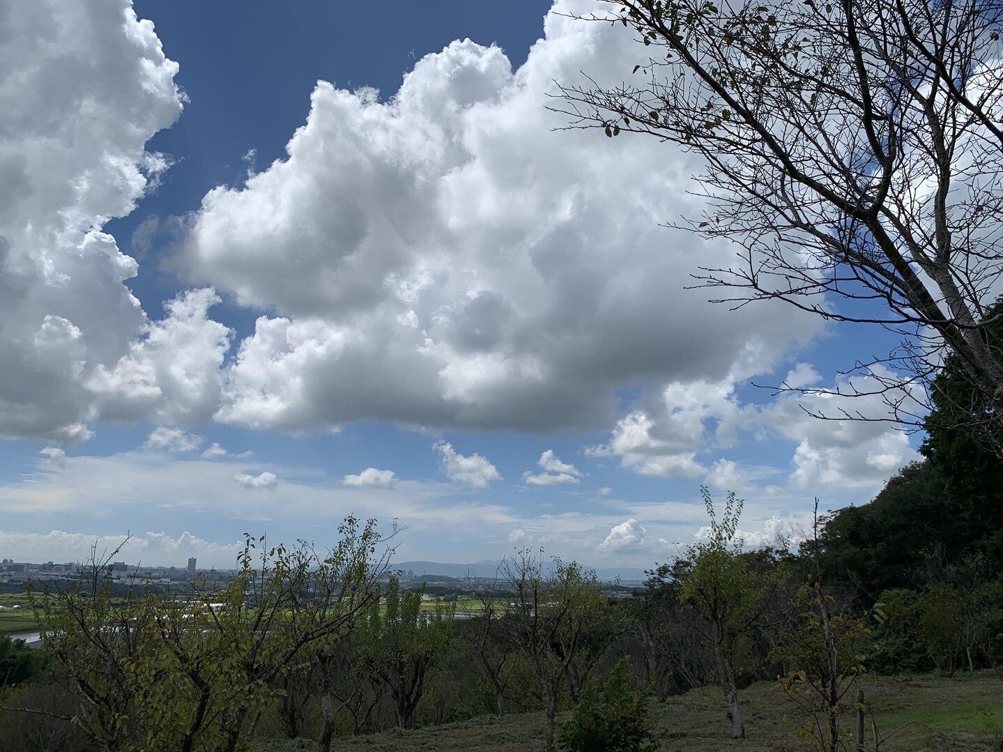 18 雌岡山 / akiraさんの雄岡山・雌岡山の活動データ | YAMAP / ヤマップ