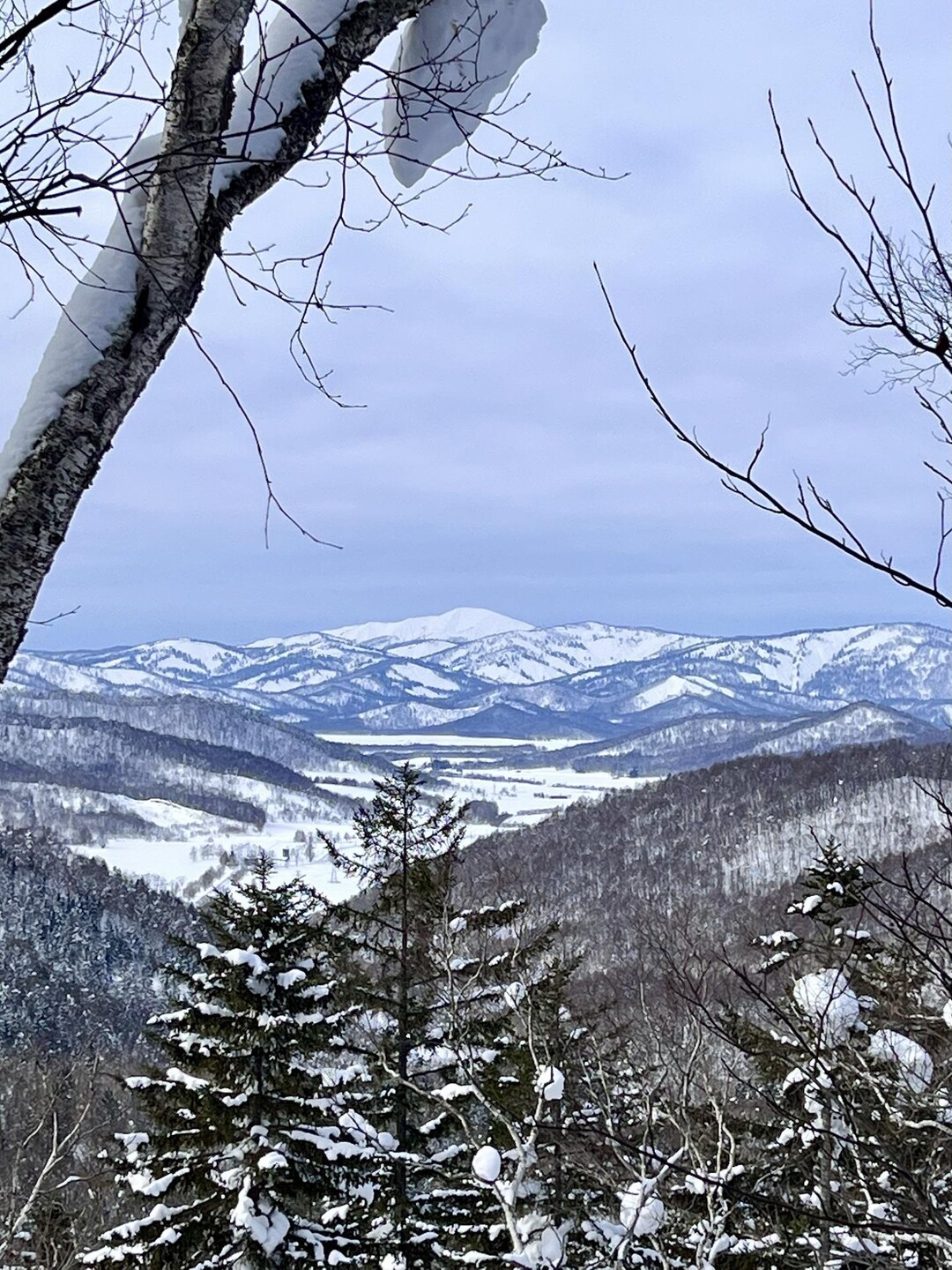 三面山 / FUM!さんの丸山・三面山・シラッケ山の活動データ | YAMAP / ヤマップ