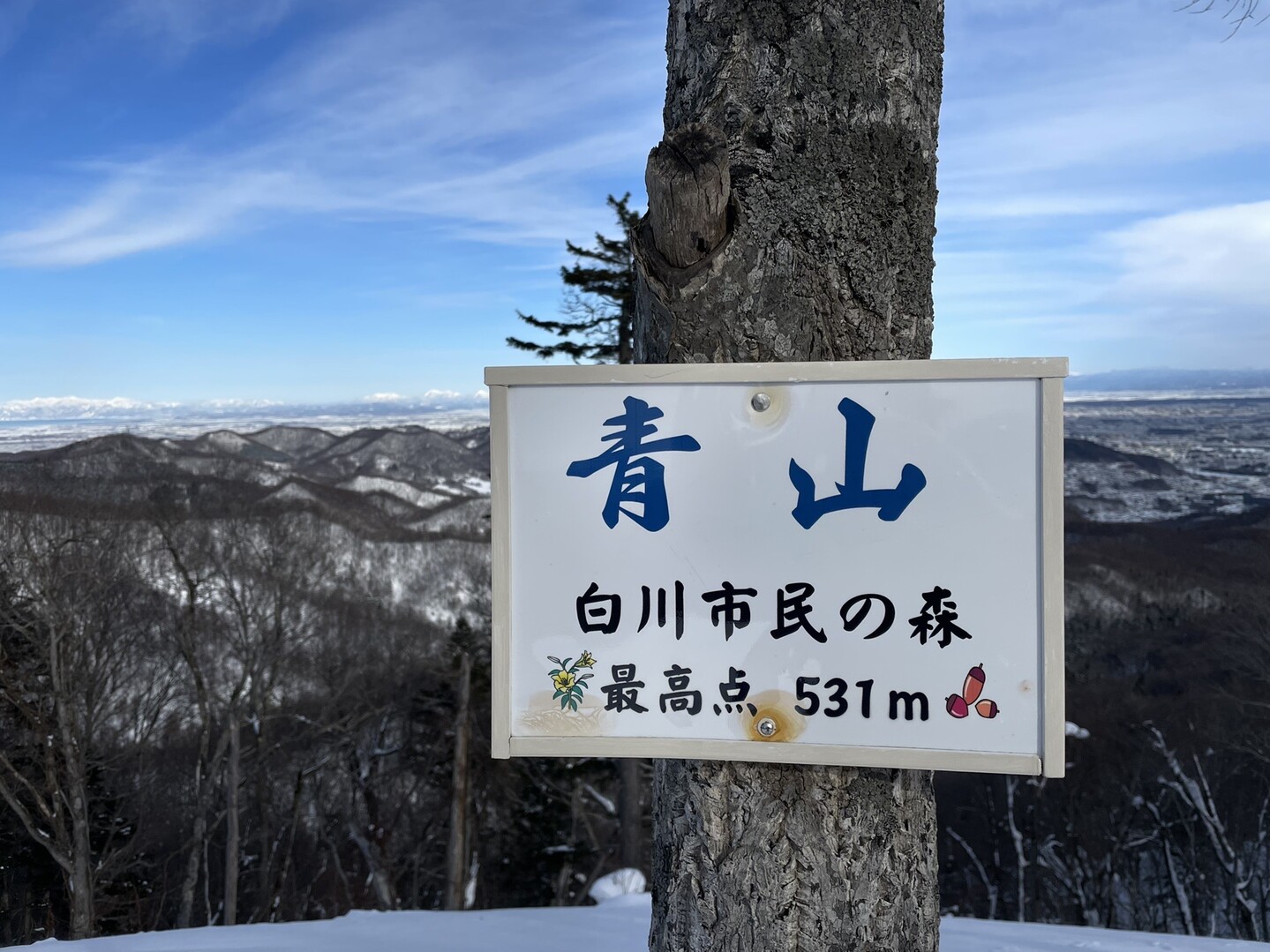 青山 / akorenaさんの砥石山・青山の活動データ | YAMAP / ヤマップ