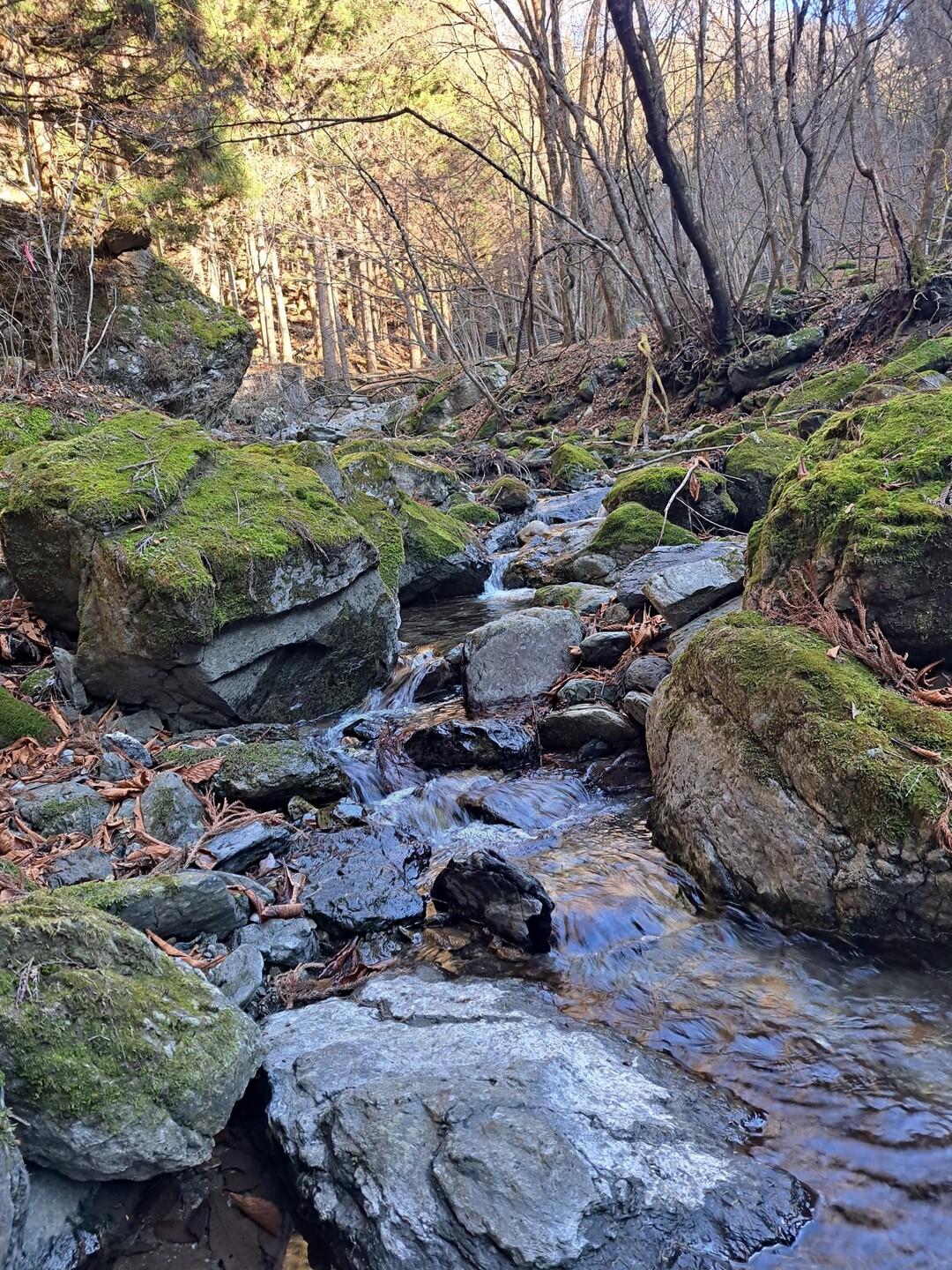 桧沢岳・桧沢岳西峰 / M-Reiさんの桧沢岳・小沢岳の活動データ | YAMAP / ヤマップ