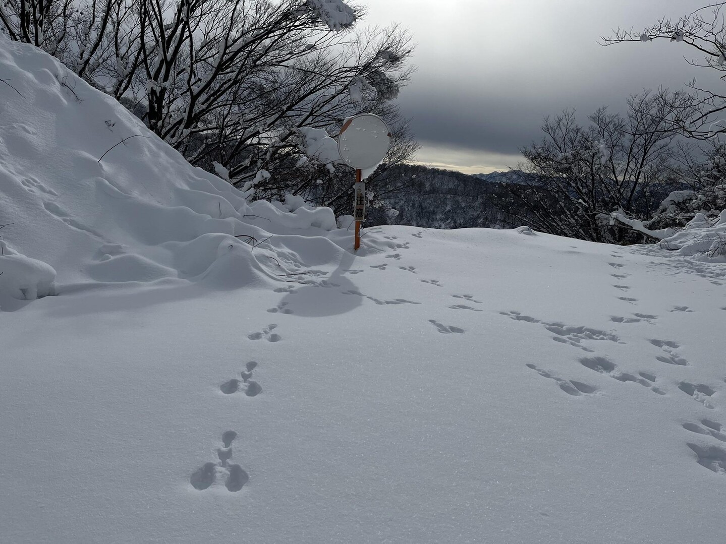 Christmas Eve Snow Hike / naoさんの医王山・白兀山・箱屋谷山の活動日記 | YAMAP / ヤマップ