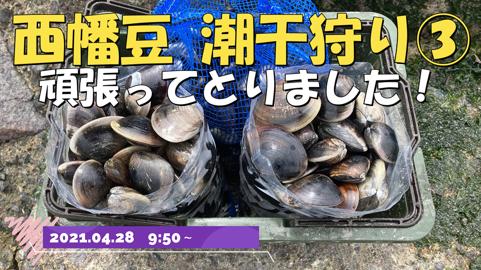 そういえば、今回も潮干狩り動画UPしまし... / Kyoheiさんのモーメント | YAMAP / ヤマップ