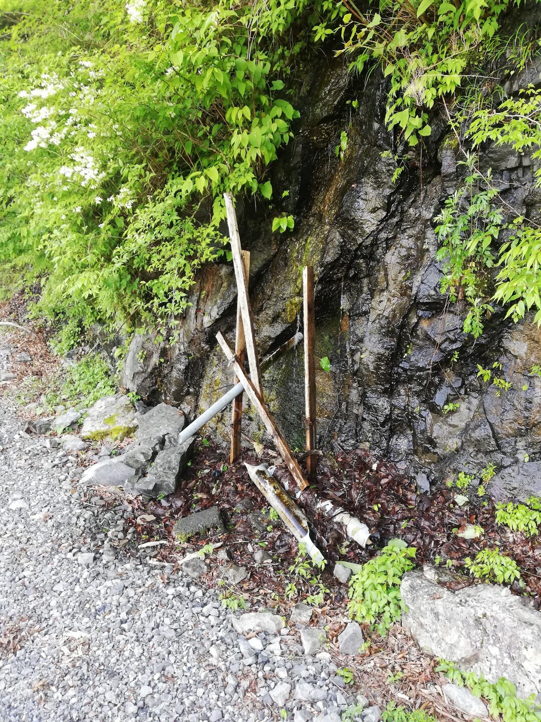 はかマンさんの投稿したフィールドメモ | YAMAP / ヤマップ