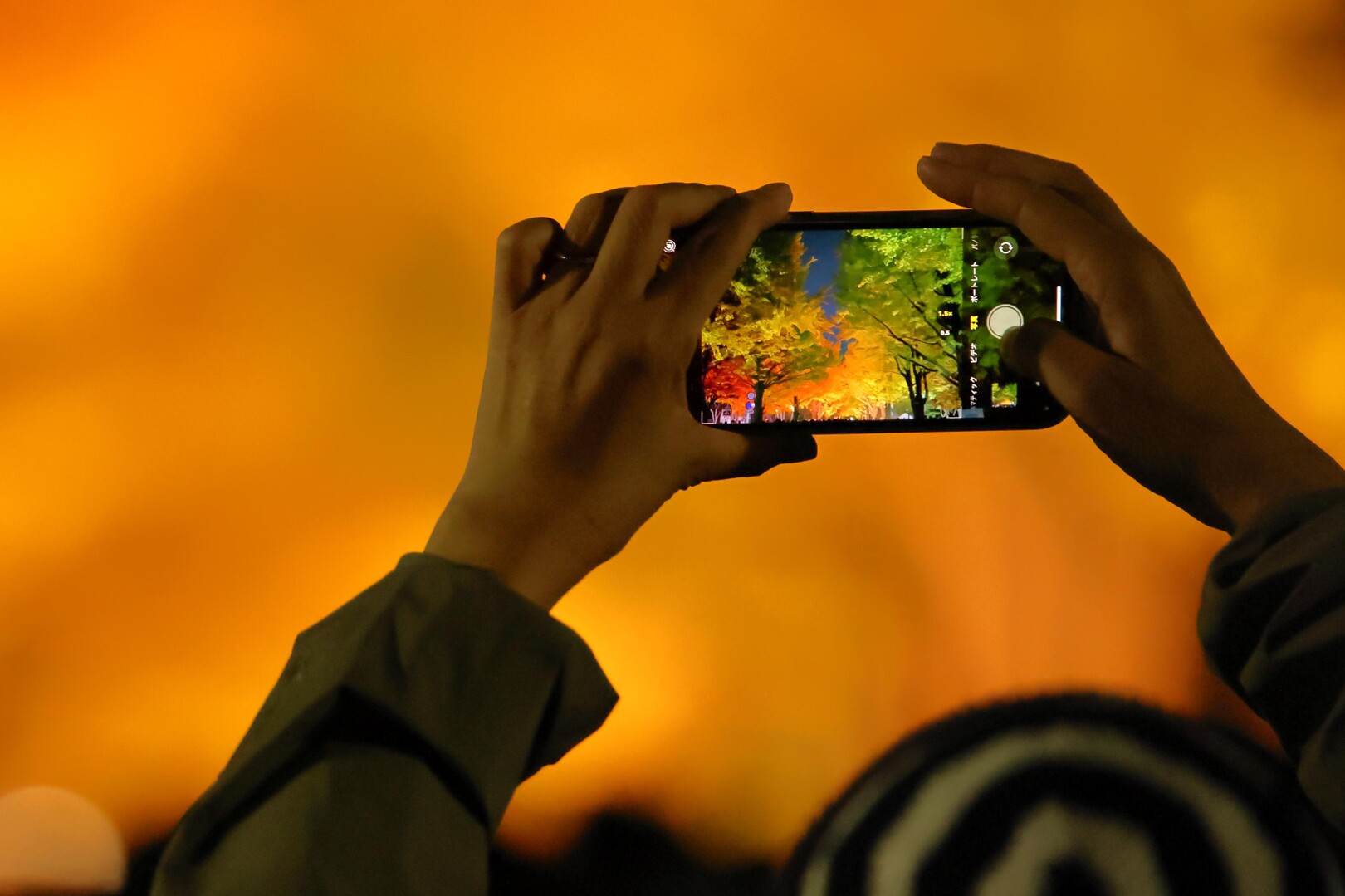 北海道大学で絶賛開催中の金葉祭に行ってき... / kojiyadさんのモーメント | YAMAP / ヤマップ