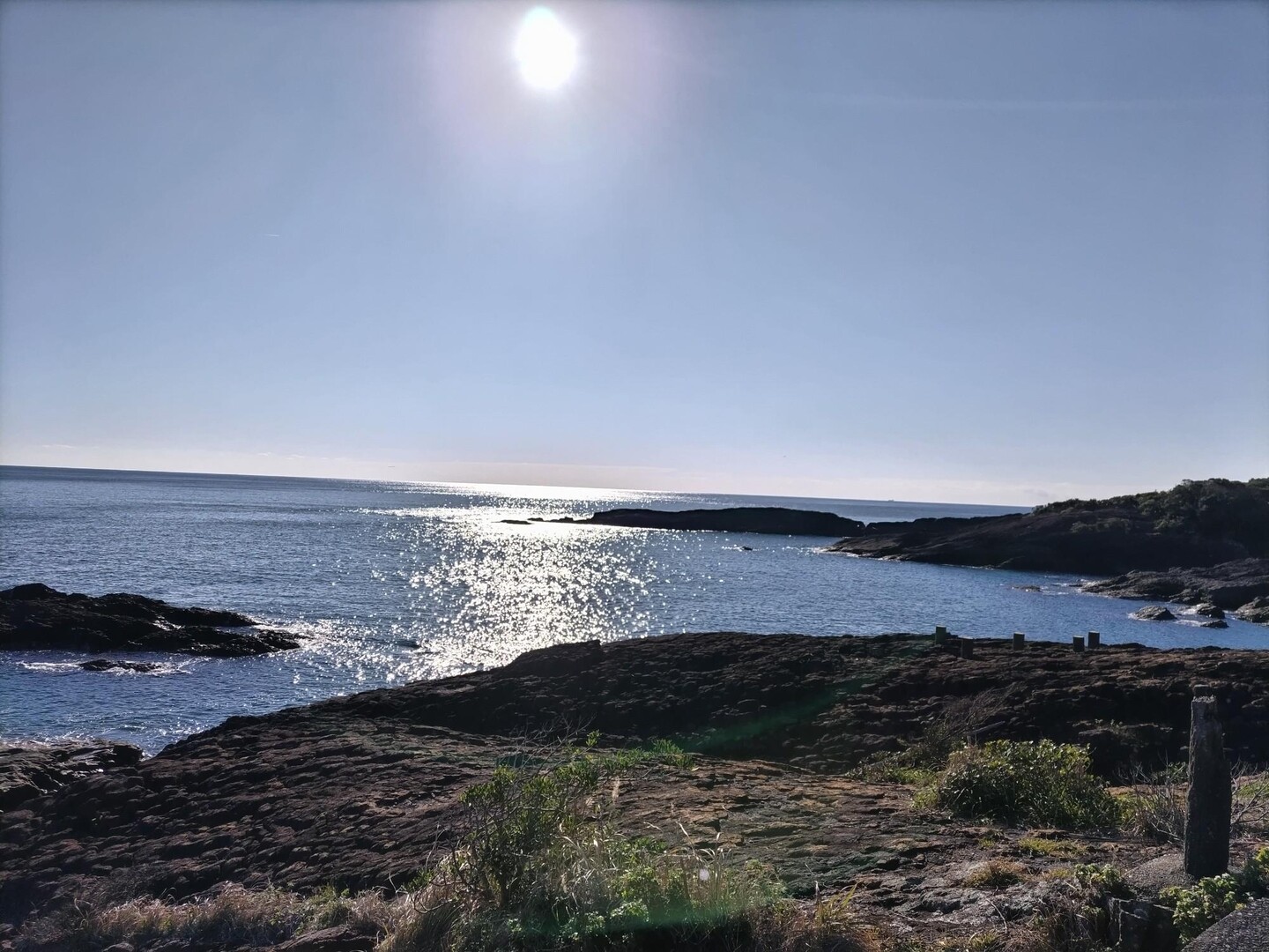 日向市-2024-12-01 / emiさんの日向市の活動データ | YAMAP / ヤマップ