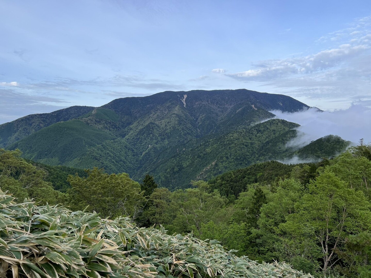 恵那山・富士見台 / togonovoさんの恵那山・大判山・神坂山の活動データ | YAMAP / ヤマップ