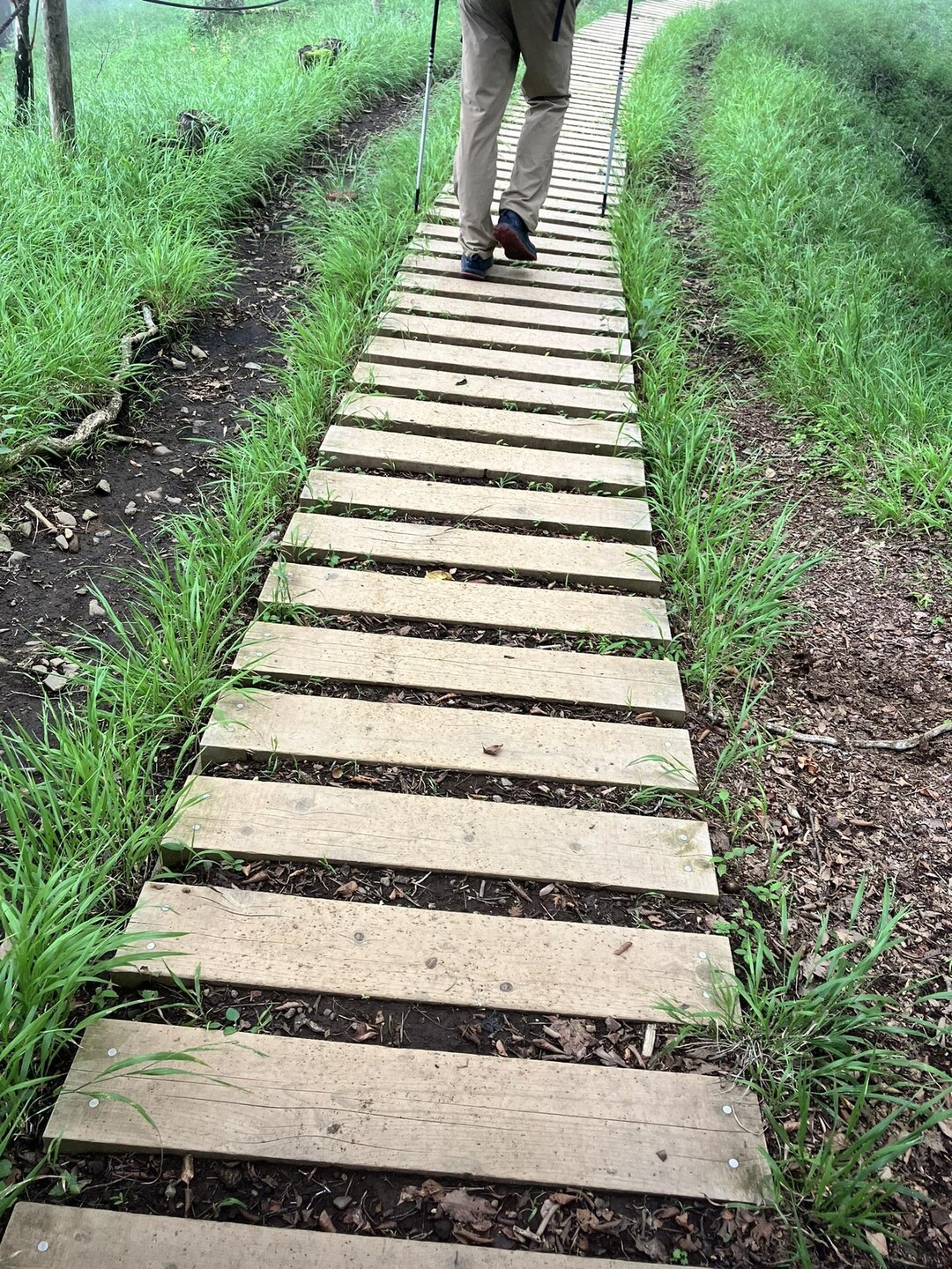 丹沢の木道の間隔って、計算されてる。 つ... / Yujicさんのモーメント | YAMAP / ヤマップ