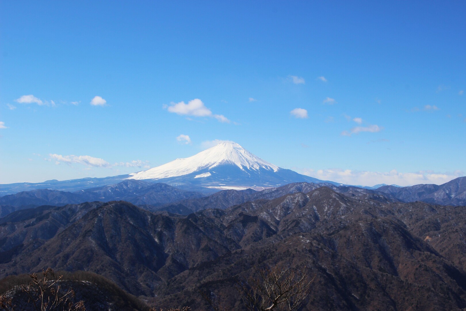 雪の檜洞丸 西丹沢VC〜犬越路〜箒沢公園BSへ / いっちー🧸さんの塔ノ岳・丹沢山・蛭ヶ岳の活動データ | YAMAP / ヤマップ