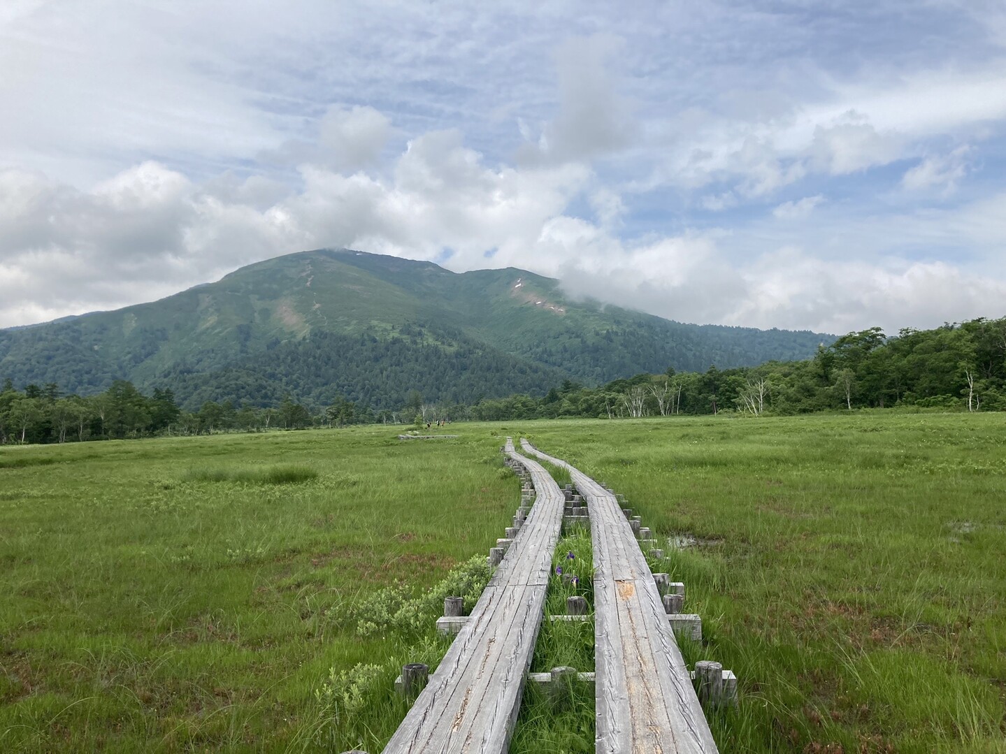 尾瀬-2022-07-11 / mmm.stさんの尾瀬・燧ヶ岳の活動日記 | YAMAP / ヤマップ
