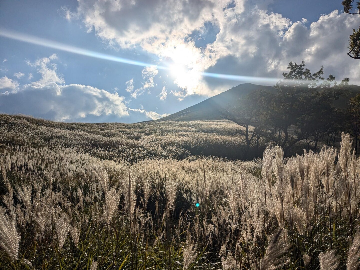 2014 1104 一目山・みそこぶし山・女岳・涌蓋山 / のりぽさんの涌蓋山・猟師山の活動データ | YAMAP / ヤマップ