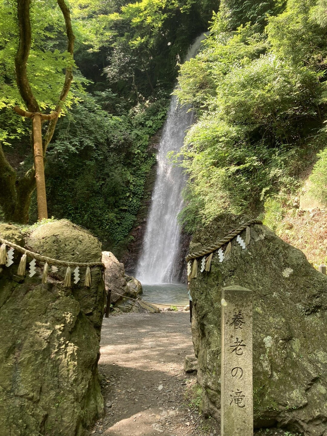 三方山・小倉山・養老山・北尾根P826峰 / sakapiさんの養老山・笙ヶ岳・三方山の活動データ | YAMAP / ヤマップ