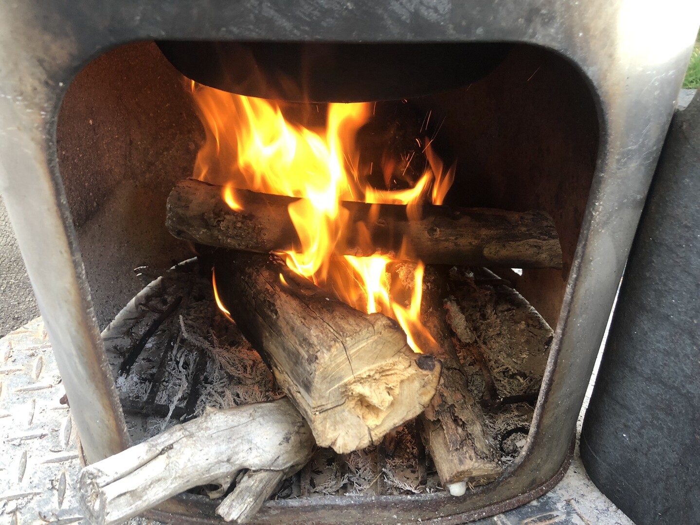 今年の初タケノコいただきました👏 オバ... / Naluさんのモーメント | YAMAP / ヤマップ