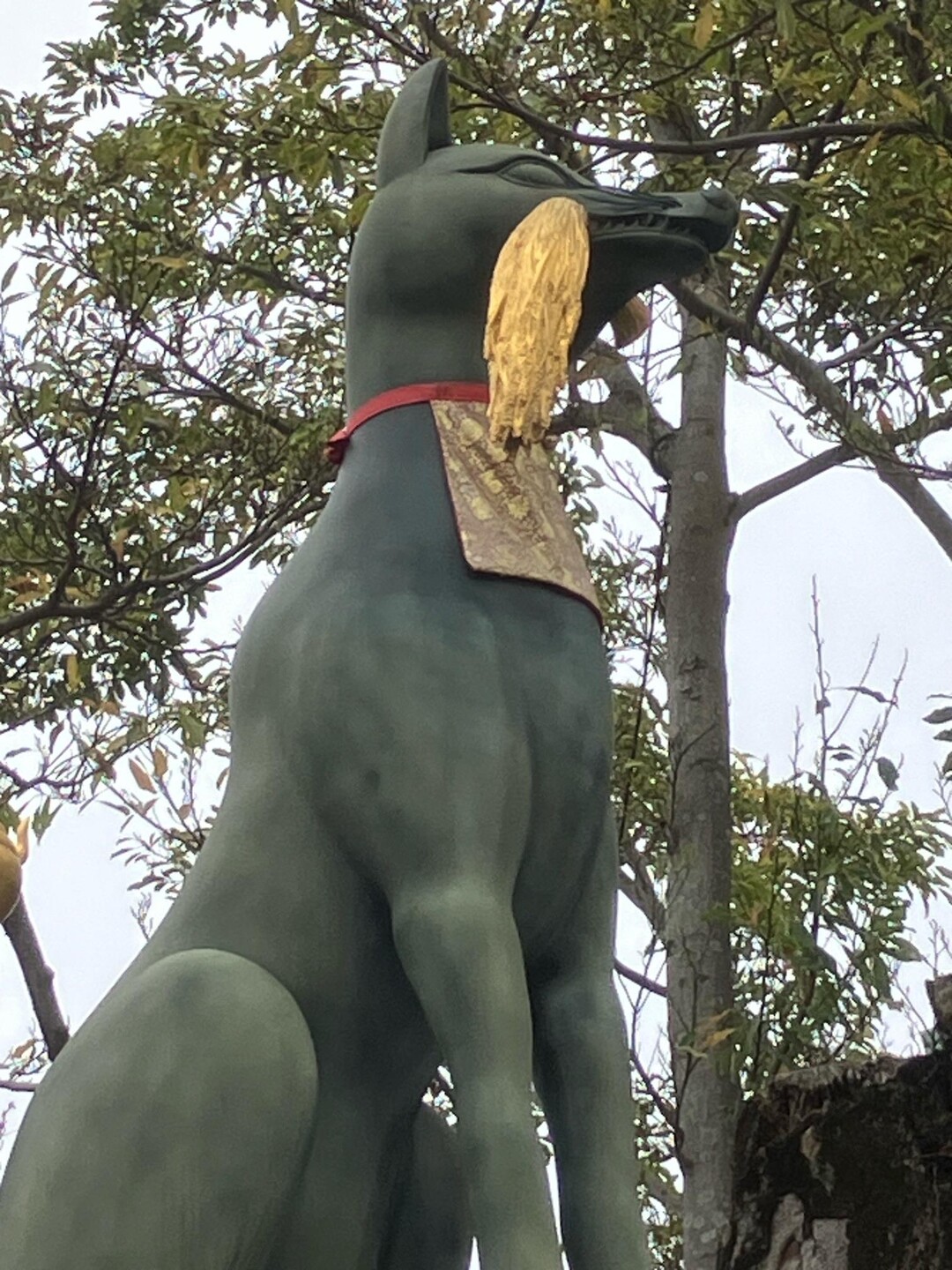 京都一周トレイルの伏見・深草コース / yabuさんの京都一周トレイルの活動データ | YAMAP / ヤマップ