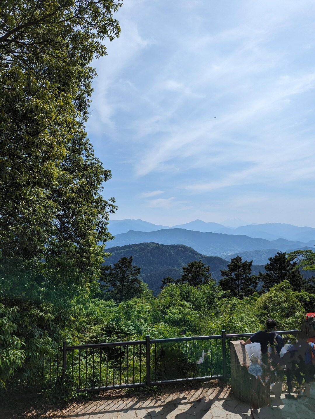 高尾山 / Nori-Benさんの高尾山・陣馬山・景信山の活動データ | YAMAP / ヤマップ