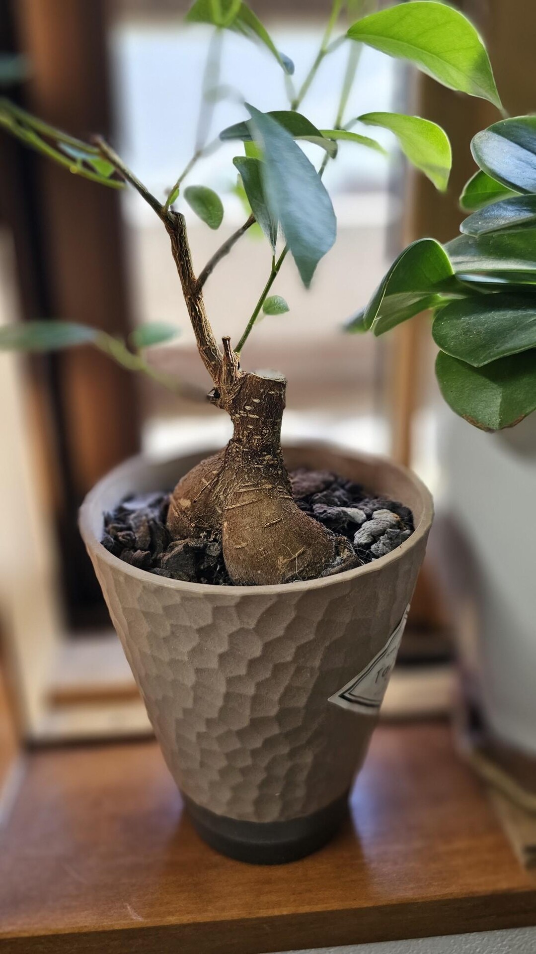 Namiのページ | YAMAP / ヤマップ