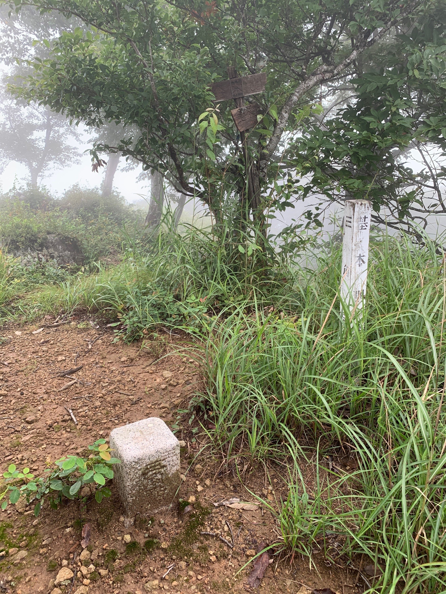 金木山 / masaikeさんの雲月山・大潰山・大佐山の活動データ | YAMAP / ヤマップ