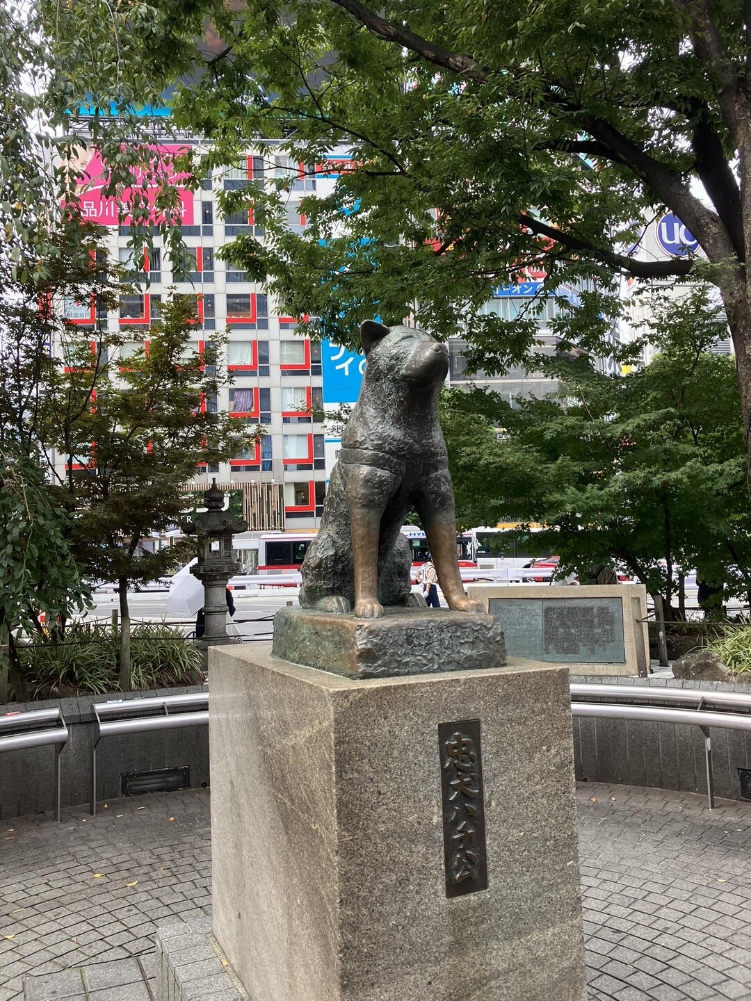 今日は、久々の渋谷散歩（とコンサート🎵... / h. miyaさんのモーメント | YAMAP / ヤマップ