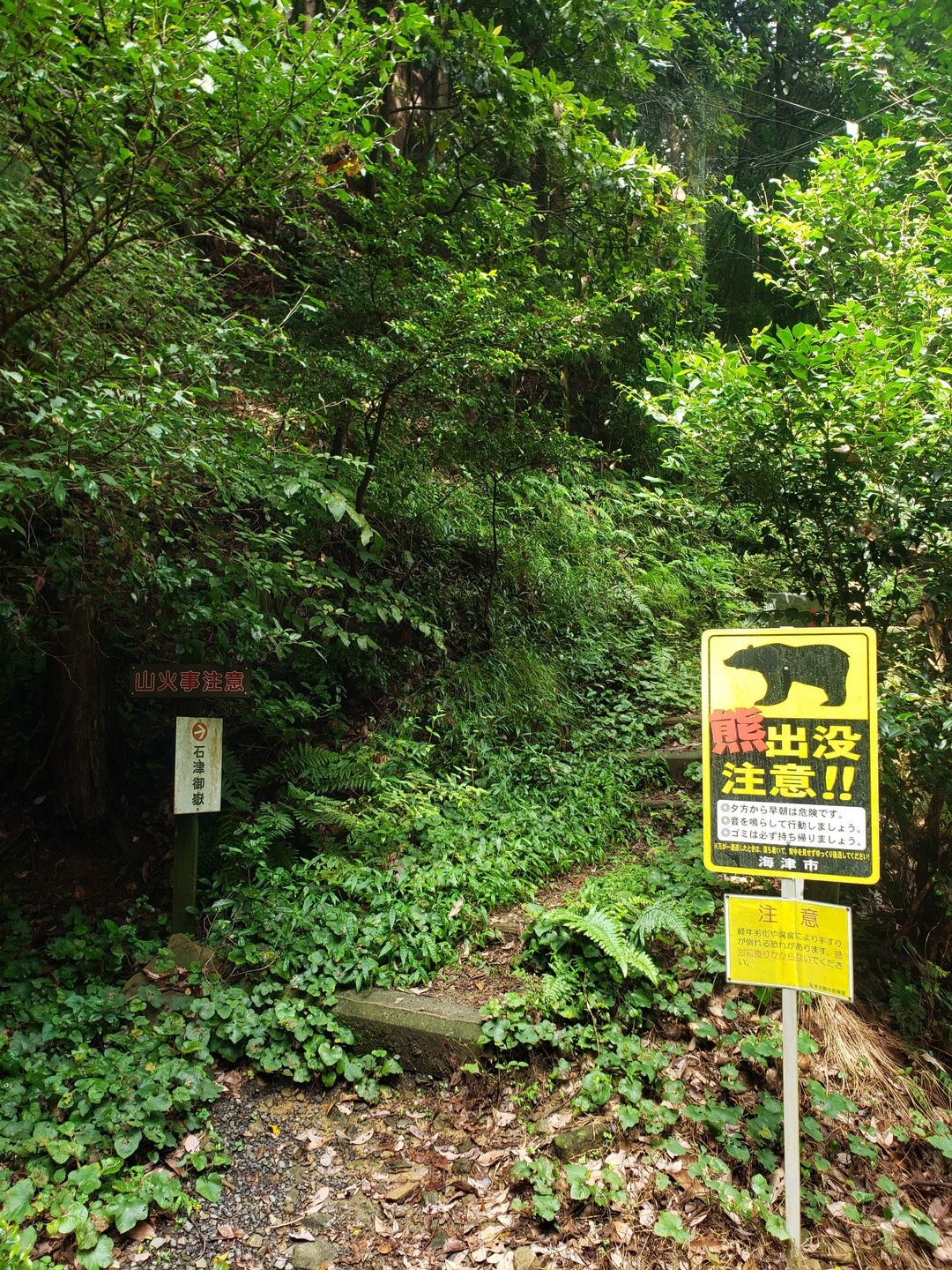 初ソロ! 大量のヒルに襲われ半泣きで即下山w / cocoさんの多度山・美濃松山・石津御嶽の活動データ | YAMAP / ヤマップ