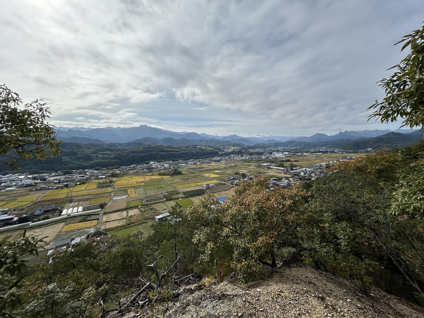 富岡アルプス九連峰61 / KARINAさんの大桁山・鍬柄岳・御堂山の活動データ | YAMAP / ヤマップ