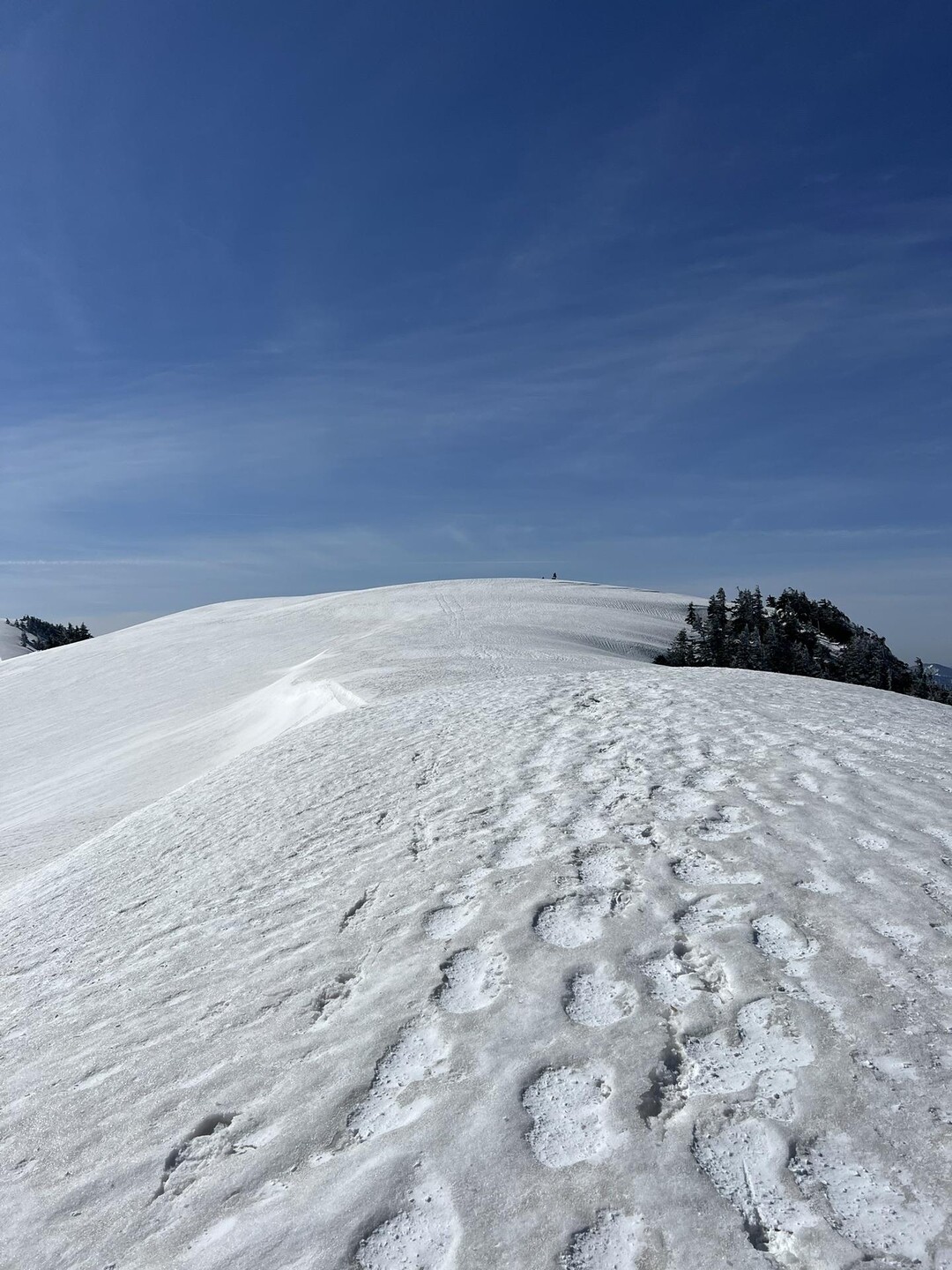 会津駒ヶ岳・中門岳 2023-04-22〜23 / keyさんの会津駒ヶ岳の活動データ | YAMAP / ヤマップ