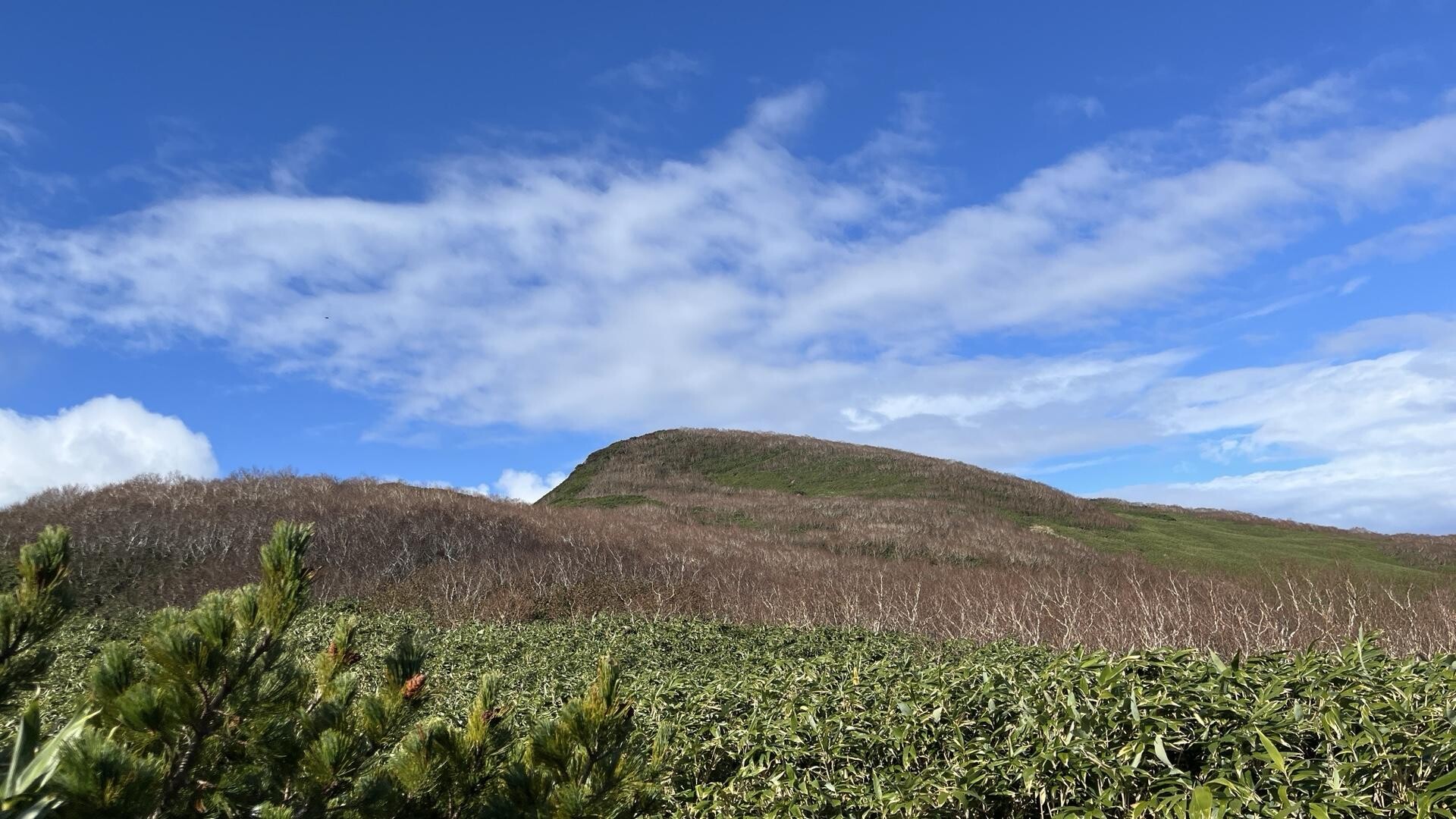 積丹岳 / Mas. Tさんの積丹半島北部・積丹岳の活動データ | YAMAP / ヤマップ