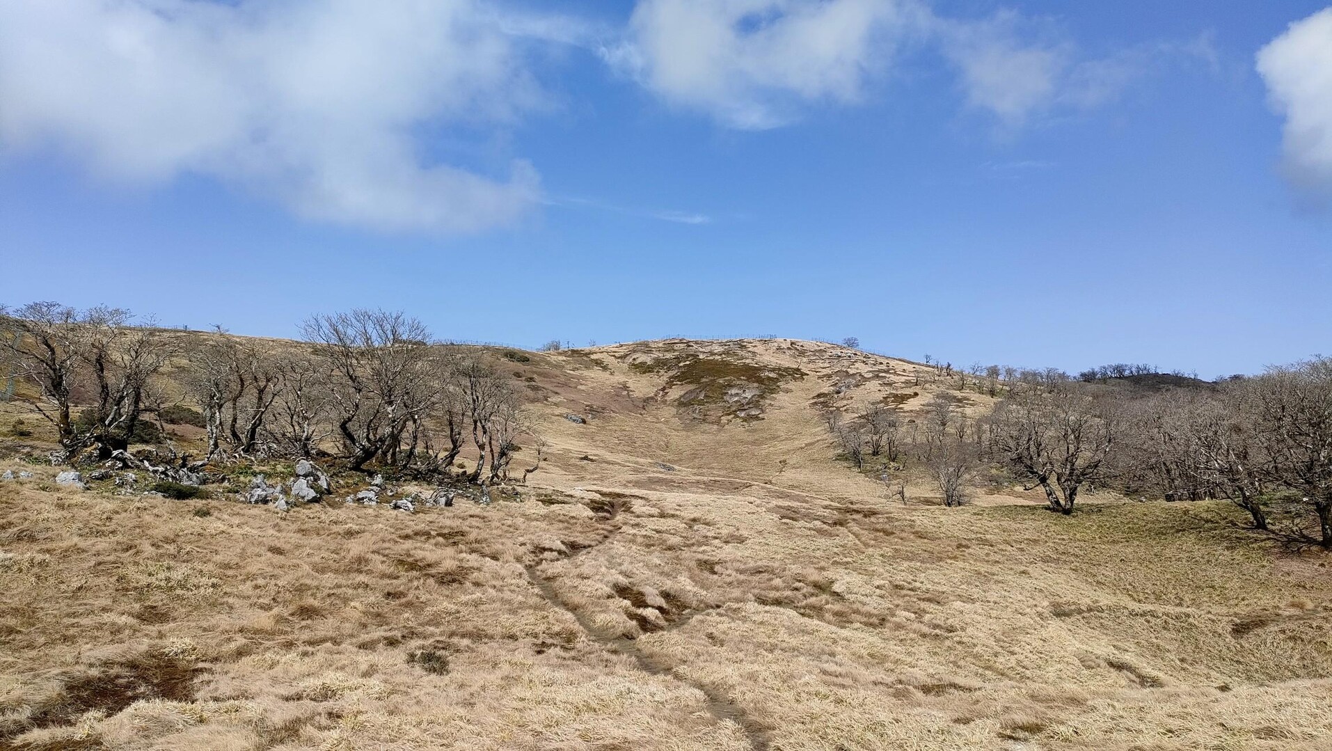 御池岳・鈴北岳 / S kazuさんの藤原岳・御池岳の活動データ | YAMAP / ヤマップ