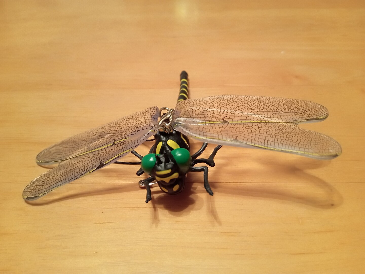 今年のオニヤンマ君はリアルバージョン 今... / ma-kunさんのモーメント | YAMAP / ヤマップ