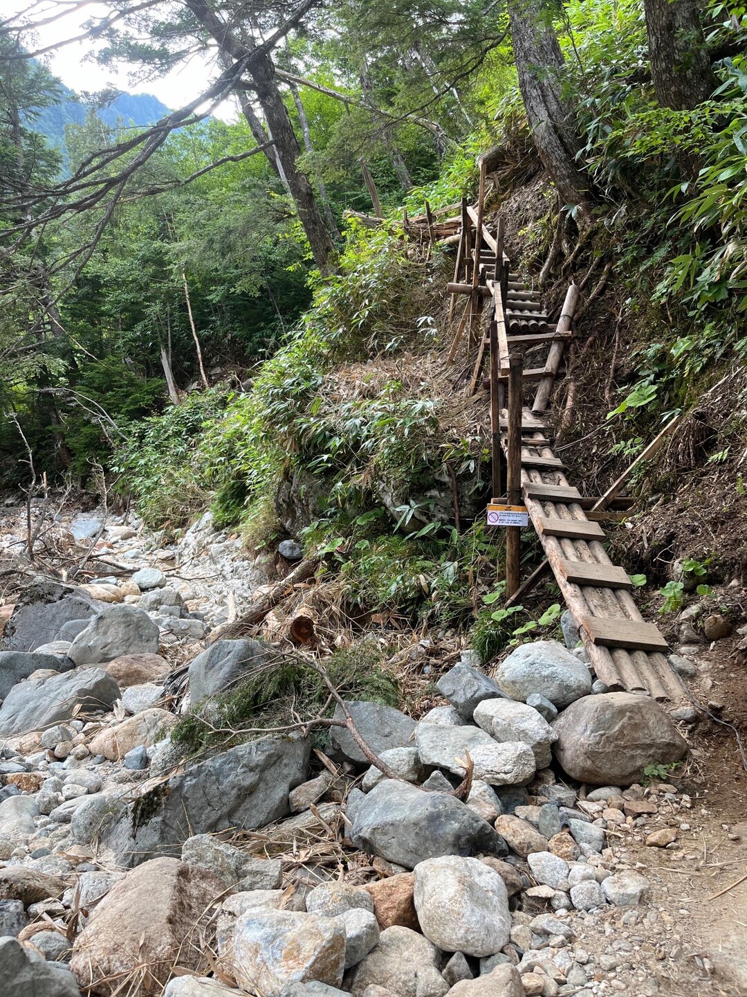 Meg Takaoさんの投稿したフィールドメモ | YAMAP / ヤマップ