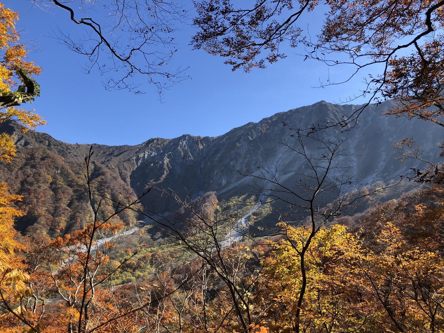 大山（弥山） / nobさんの大山・甲ヶ山・野田ヶ山の活動データ | YAMAP / ヤマップ