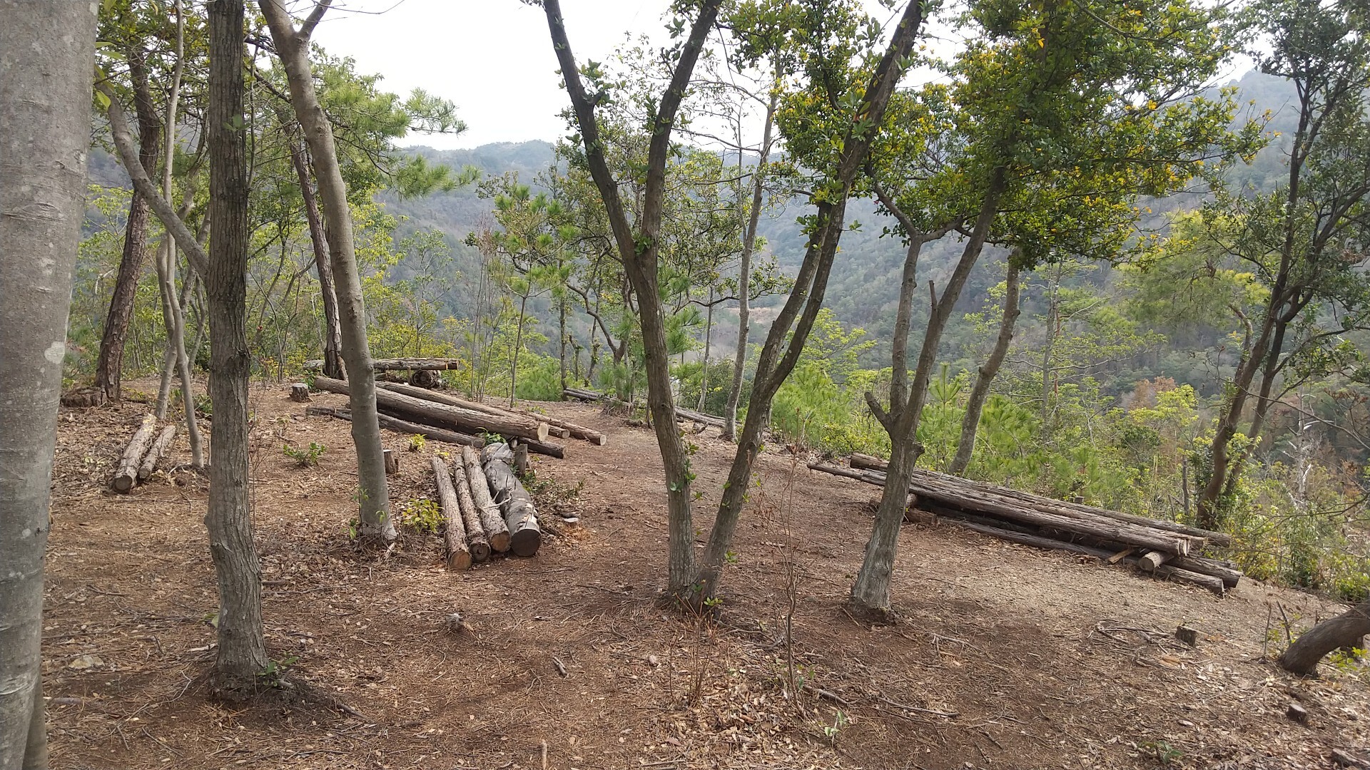 koiさんの投稿したフィールドメモ | YAMAP / ヤマップ