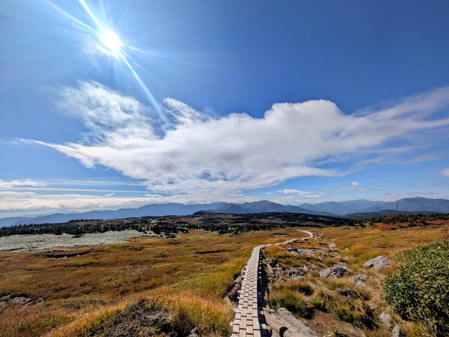 絶景☀苗場山 / moro22さんの苗場山・赤倉山・佐武流山の活動データ | YAMAP / ヤマップ