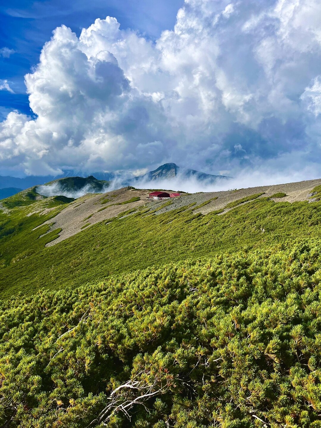 【小屋泊】蝶ヶ岳・蝶槍〜蝶ヶ岳ヒュッテ〜ピストン / sk.jpさんの常念岳・大天井岳・燕岳の活動データ | YAMAP / ヤマップ
