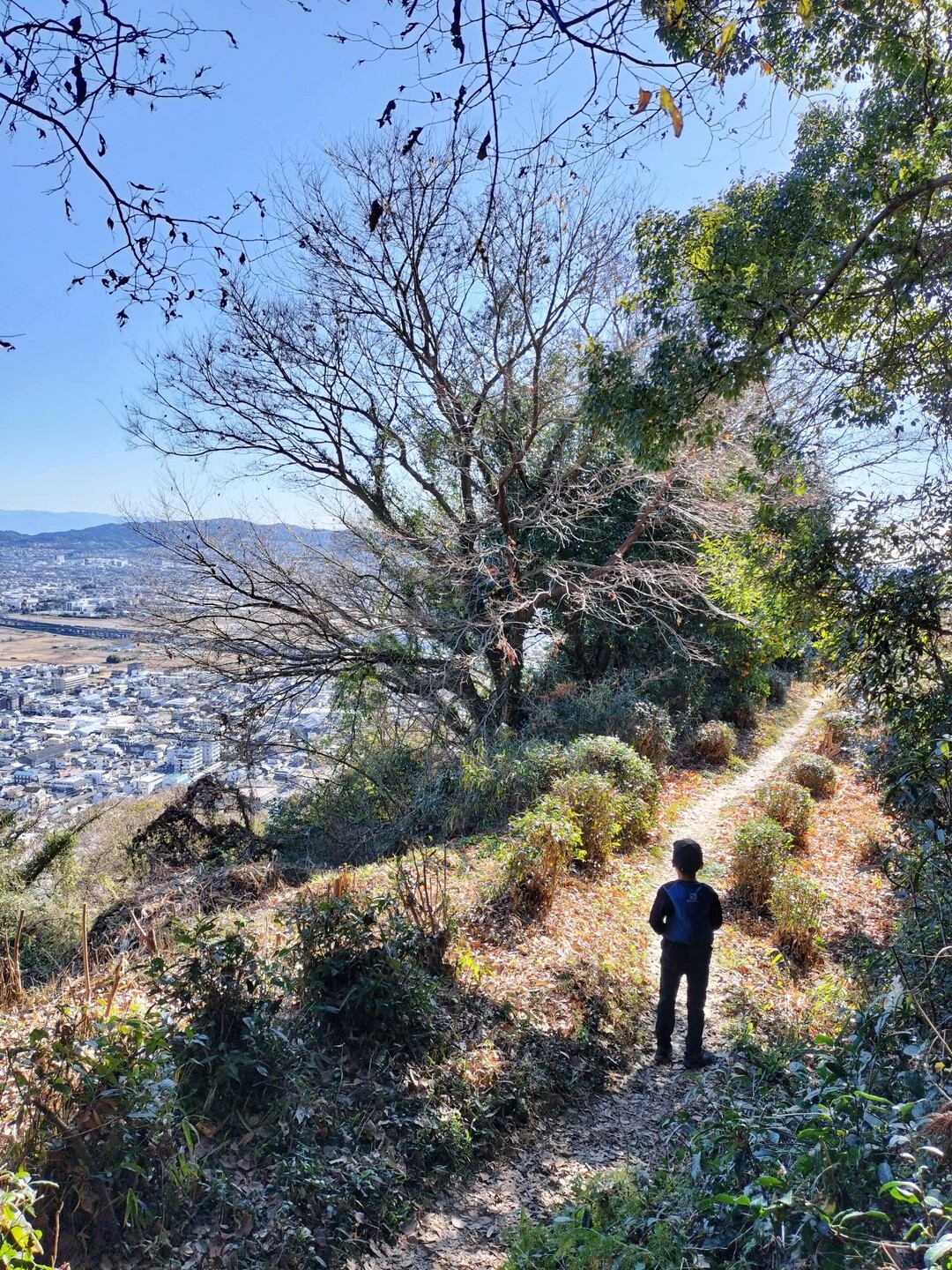 福成山・茶臼山・賤機山・浅間山 / Toshiaki Eguroさんの賤機山の活動データ | YAMAP / ヤマップ