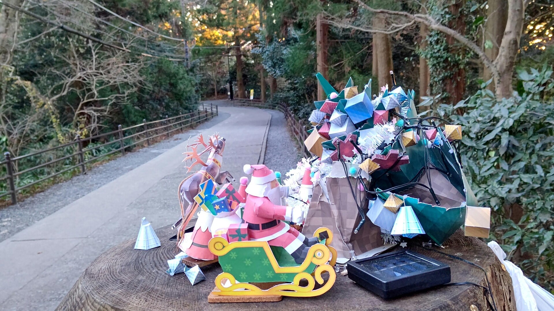 始発でGo!高尾山（6号路） / shin0599さんの高尾山・陣馬山・景信山の活動データ | YAMAP / ヤマップ