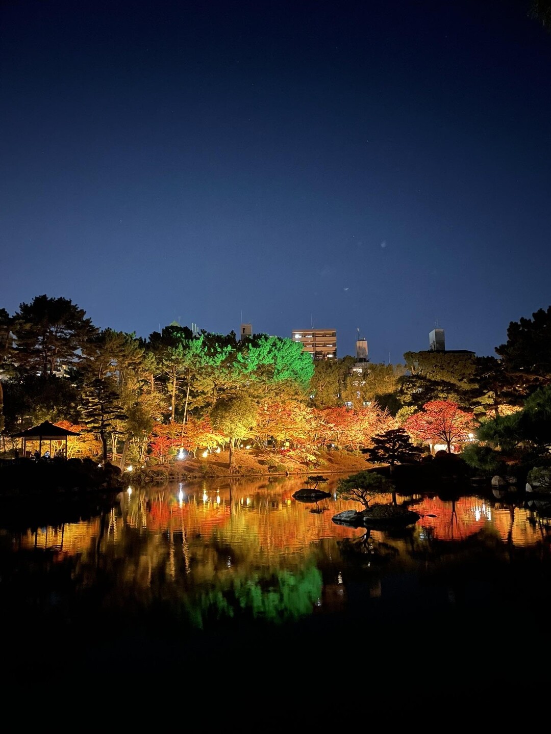 【出不精親父を連れ回せ 第二弾】縮景園🍁もみじまつり / Nockyさんの広島市の活動データ | YAMAP / ヤマップ